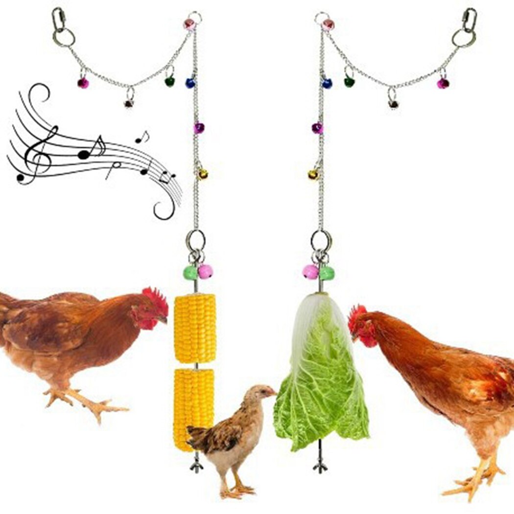 1Pcs Rvs Kip Groenten Spies Fruit Houder Voor Kipp... – Vicedeal