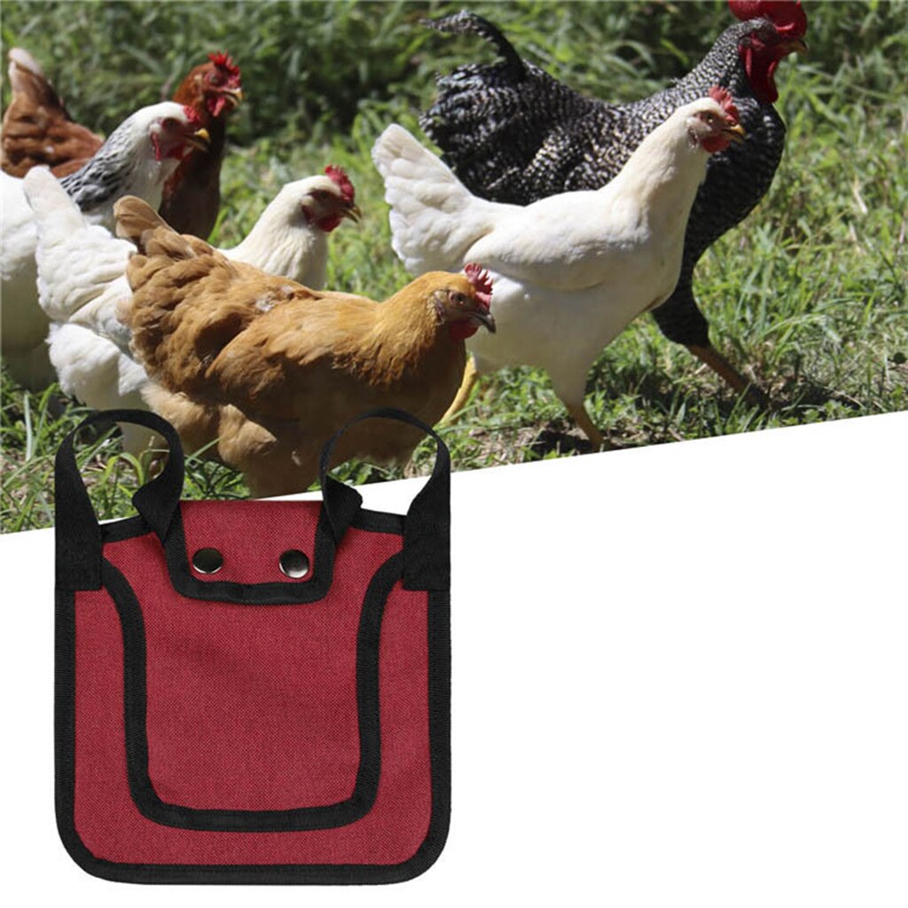 Chicken Pet Vest Cloth Flower Colorful Chicken Jac... – Grandado