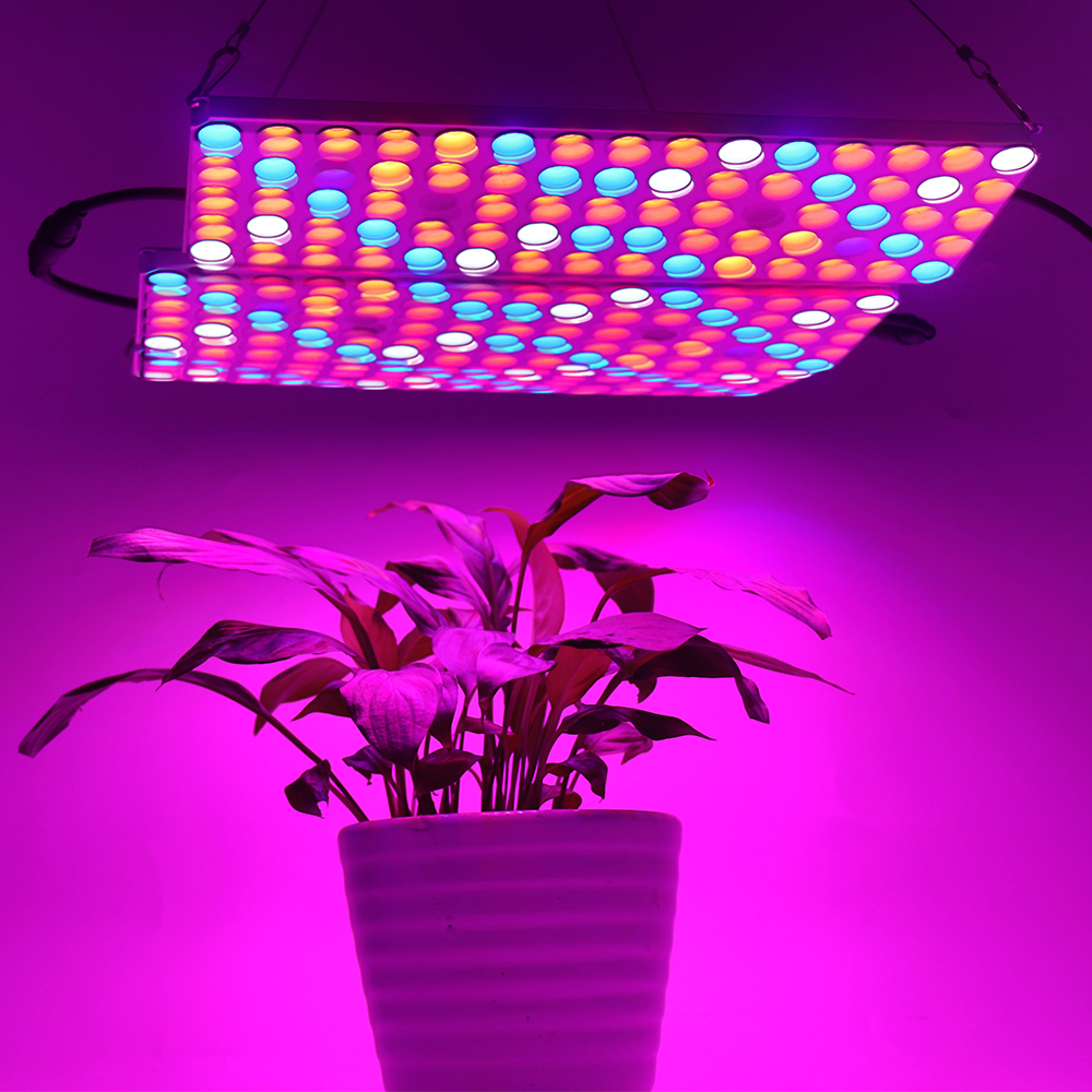 Wakyme Dimbare Led Grow Light Volledige Spectrum P... – Vicedeal