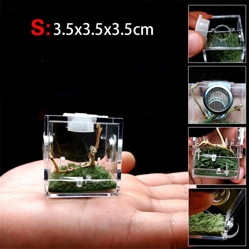 1PC Transparent Breathable Breeding Box Acrylic As... – Grandado