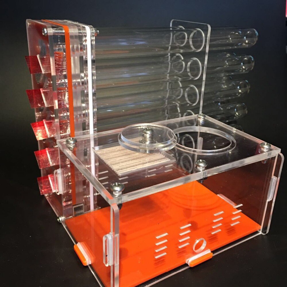12pcs Tubes Ant Nest Transparent Ant House For Kid... – Grandado