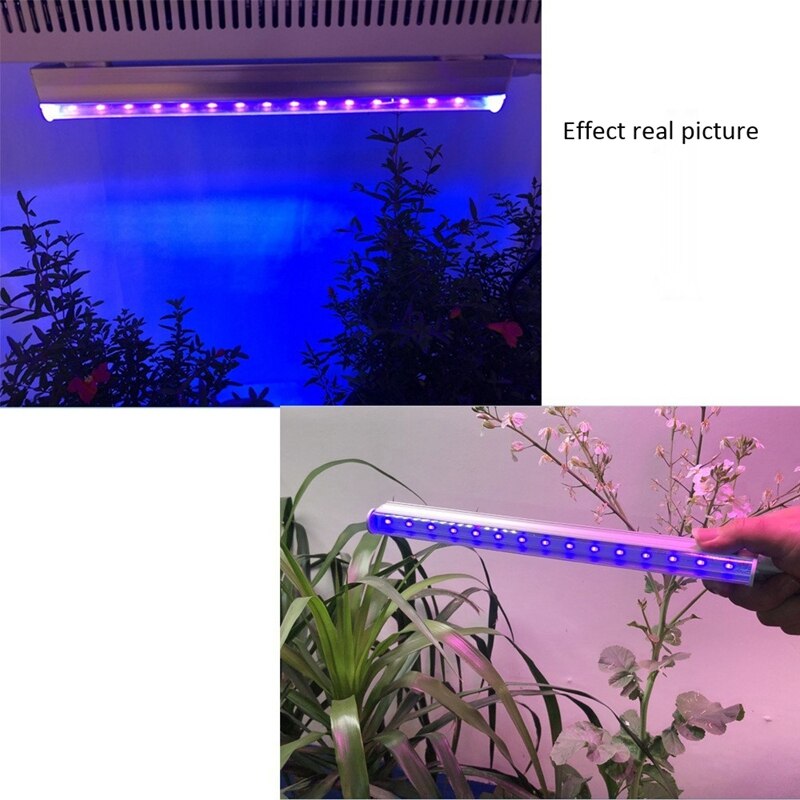 T5 LED UV Light UV LED Curing Light UV Glue Solidi... – Grandado