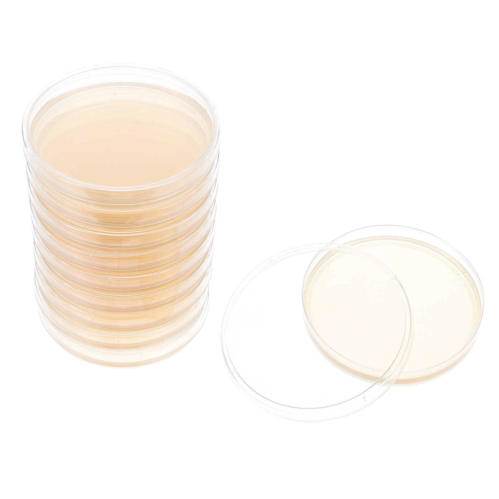10pcs Pre-Poured Agar Plates Labs Petri Dishes wit... – Grandado