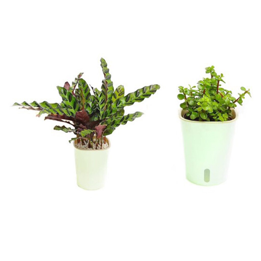 Amuzocity Automatic Flowerpot Self Watering Plante... – Grandado