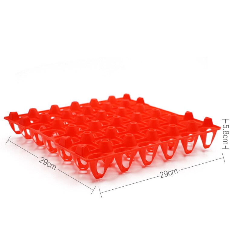 1pcs eggs tray for chicken egg collection storage ... – Grandado