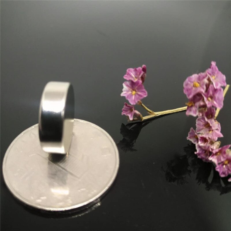 50/100 pcs 15x5mm Neodymium Magnet Super Strong Ra... – Grandado