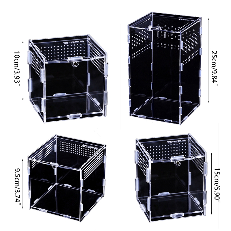 Insect Feeding Box Transparent Acrylic Container T... – Vicedeal