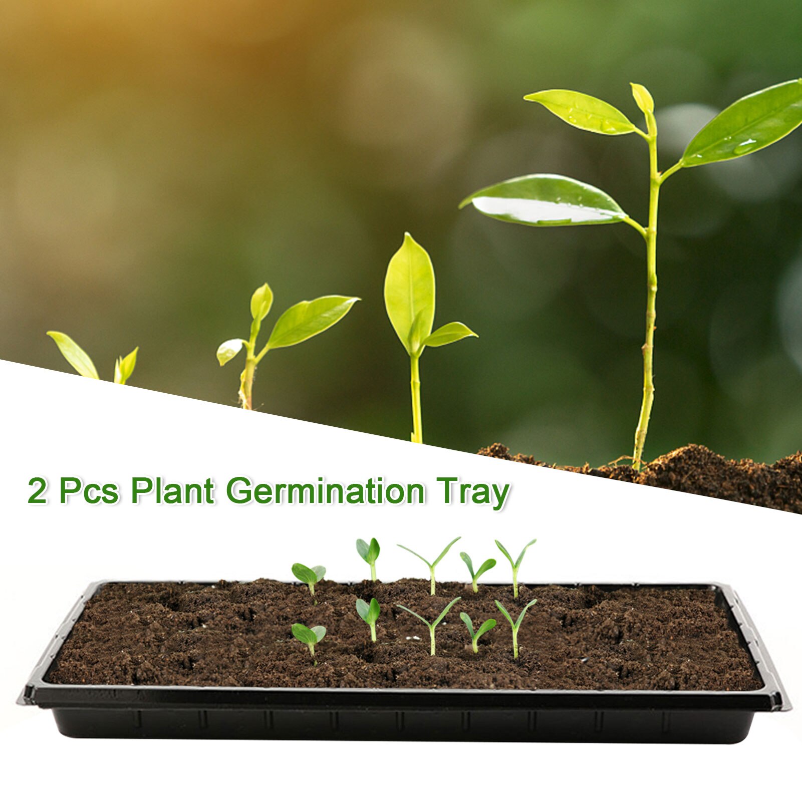 2PCS Garden Growing Trays Plastic Plant Germinatio... – Grandado