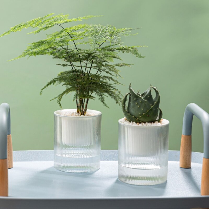 Self Watering Plastic Plant Pot with Wick Rope Cle... – Grandado