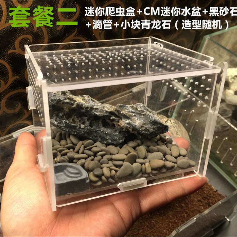 Small Size Reptile Tank Insect Spiders Tortoise Li... – Grandado