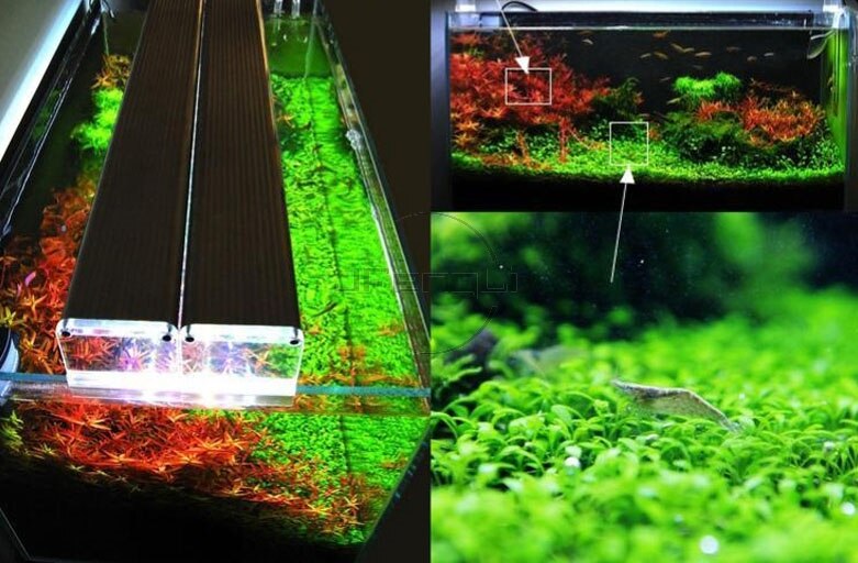 CHIHIROS A Series Plant LED Light Aquasky Style Ar... – Vicedeal