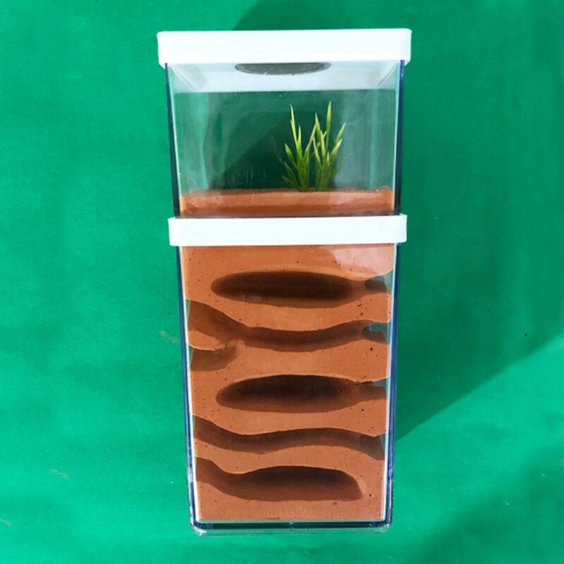 Best Ant Farm High Moisture Insect Hotel Castle Ec... – Grandado