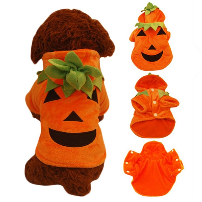 Autumn/Winter Dog Demon Pumpkin Pet Transformation... – Grandado