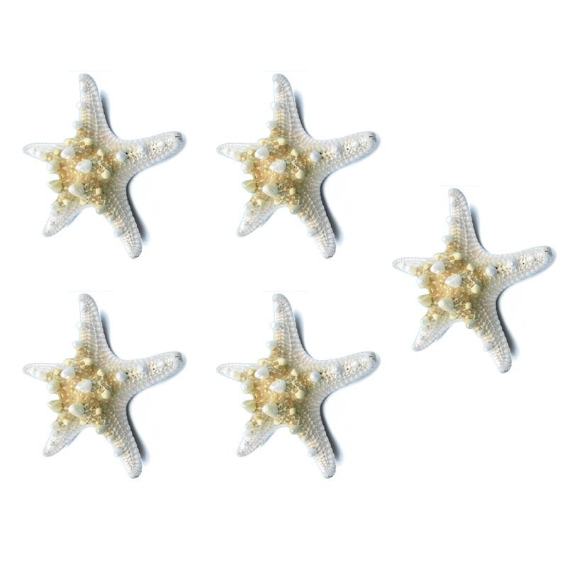 5pcs/lots crafts white bread sea shell starfish, h... – Grandado