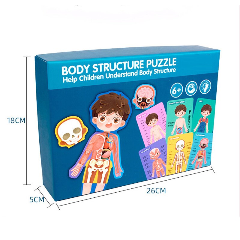 Wooden Puzzles Body Structure Cognitive Puzzle Edu... – Grandado