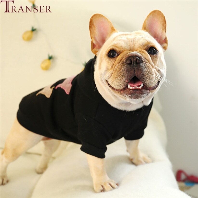Transer Pug perro ropa casual deportivo estilo Hip... – Grandado