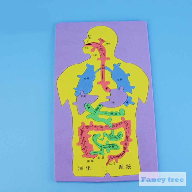 for children 3 years diy kit Various colors foam H... – Grandado