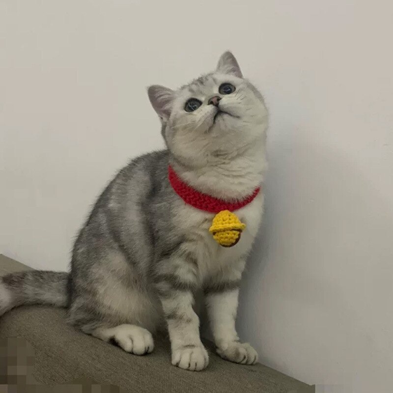 Cat Neck Sleeve Bells Siamese Cat Collar Cat Pet A... – Grandado