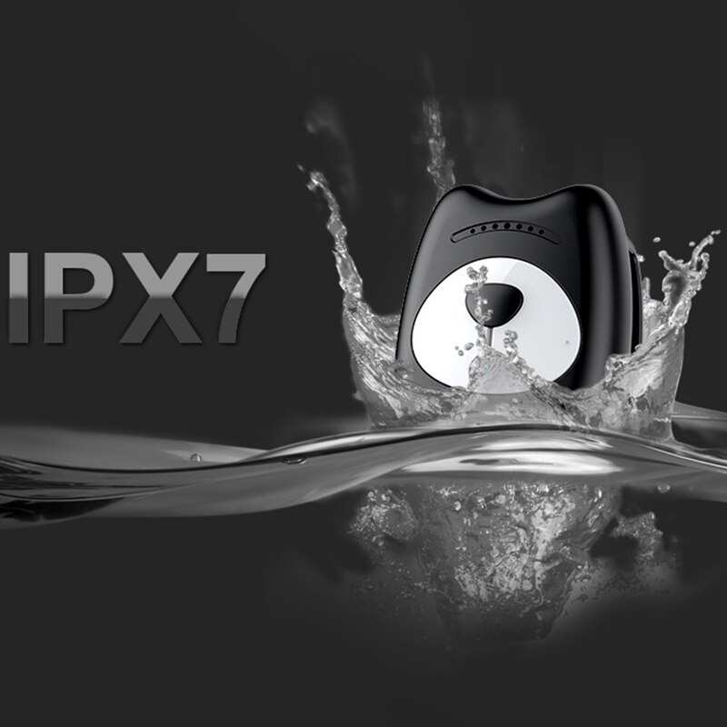 Waterproof IP67 Pet Collar Finder Dog Cat WIFI GPS... – Grandado