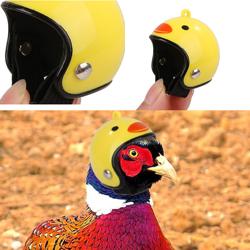 Innovation Chicken Helmet Fun Pattern Small Pet He... – Grandado