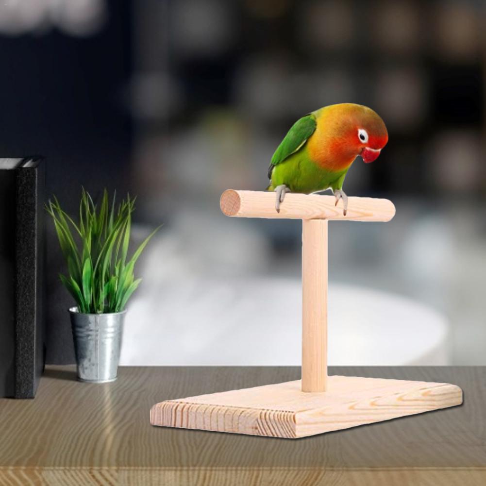 Bird Toy Office Wooden Bird Stand Bite Toy Springb... – Vicedeal