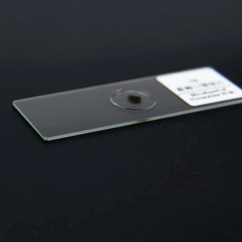 100PCS Box Set Prepared Microscope Speciments Slid... – Vicedeal