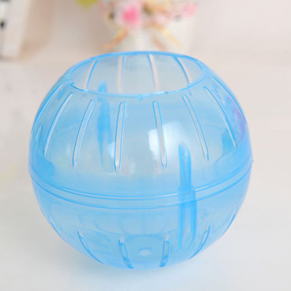 Bright Color Pets Playing Toys Plastic Pet Rodent ... – Grandado