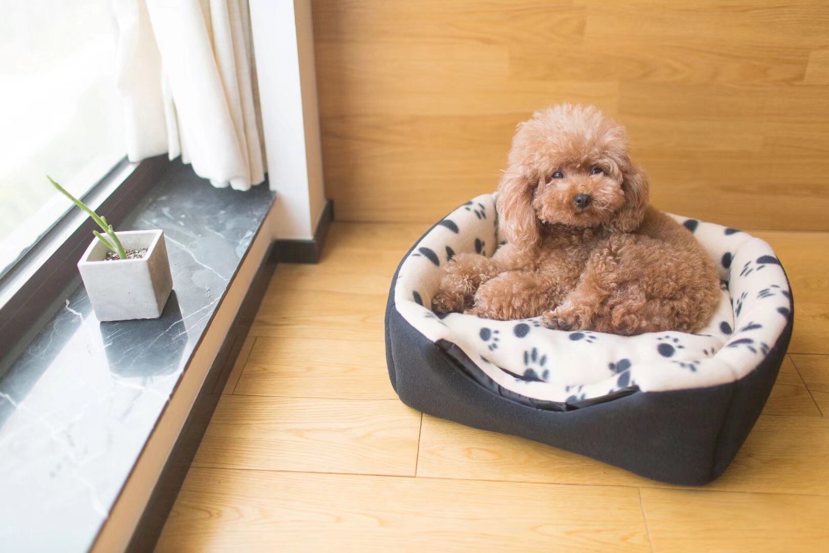 Winter Cat Dog Bed House Soft Warm Animal Puppy Ca... – Grandado