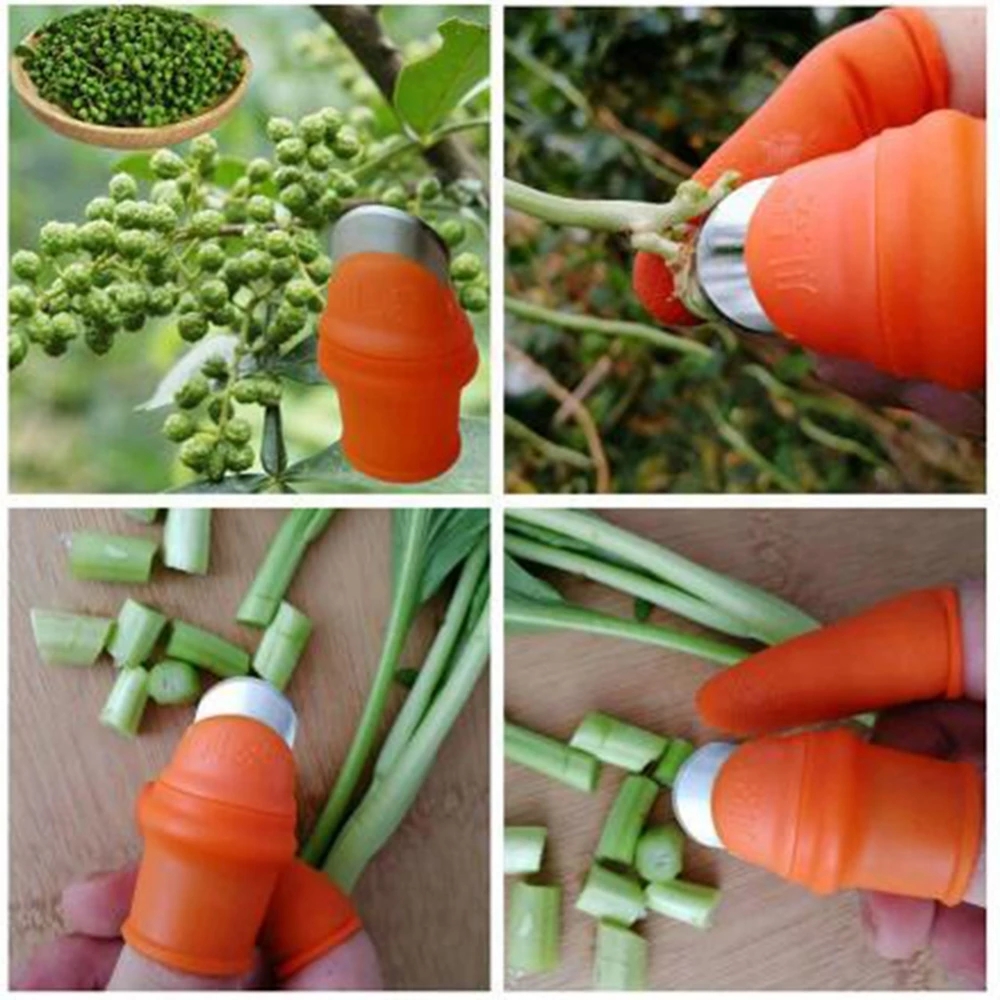 Fruit Picker Pickle Pepper Pickle Tip Picker Iron ... – Grandado
