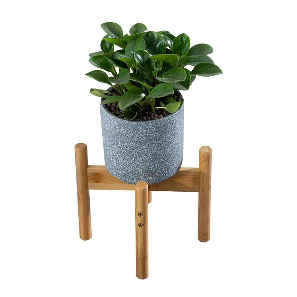 Easy Install Plant Stand Display Rack Home Decor F... – Vicedeal