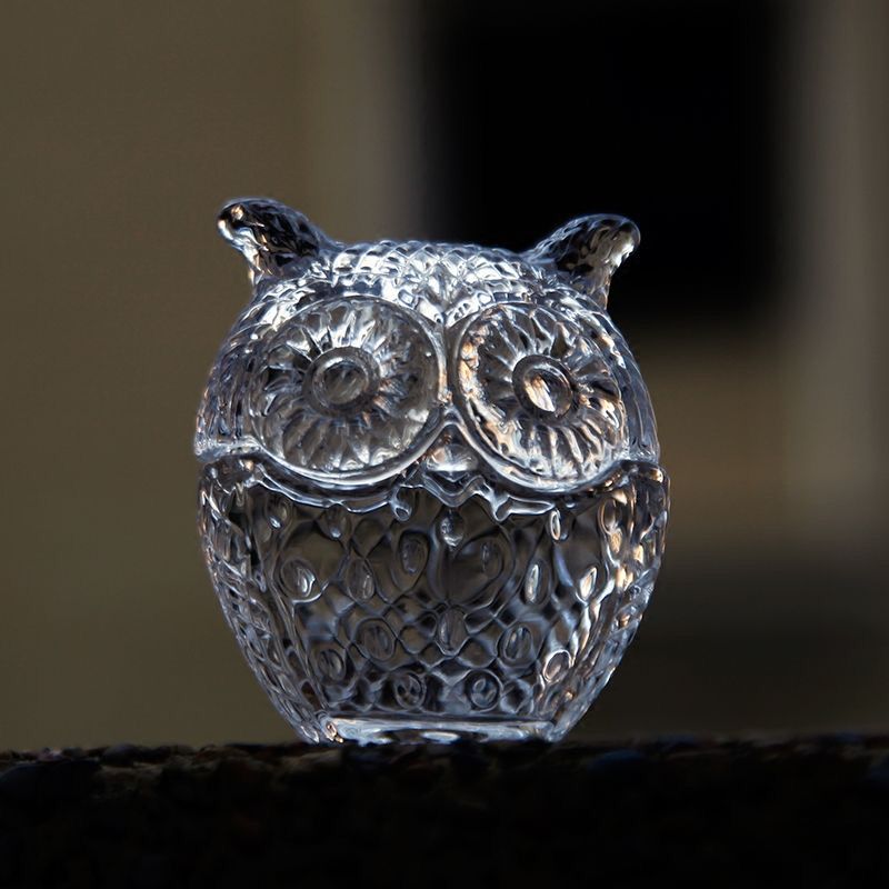 European Transparent Glass Owl Candy Jar Simple Ho... – Grandado