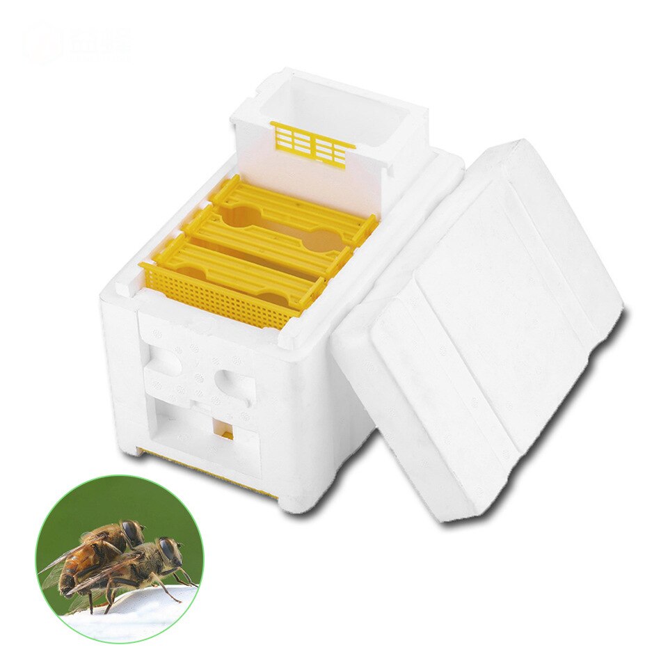 Beekeeping Tool Hive Box Queen Pollination Beekeep... – Vicedeal