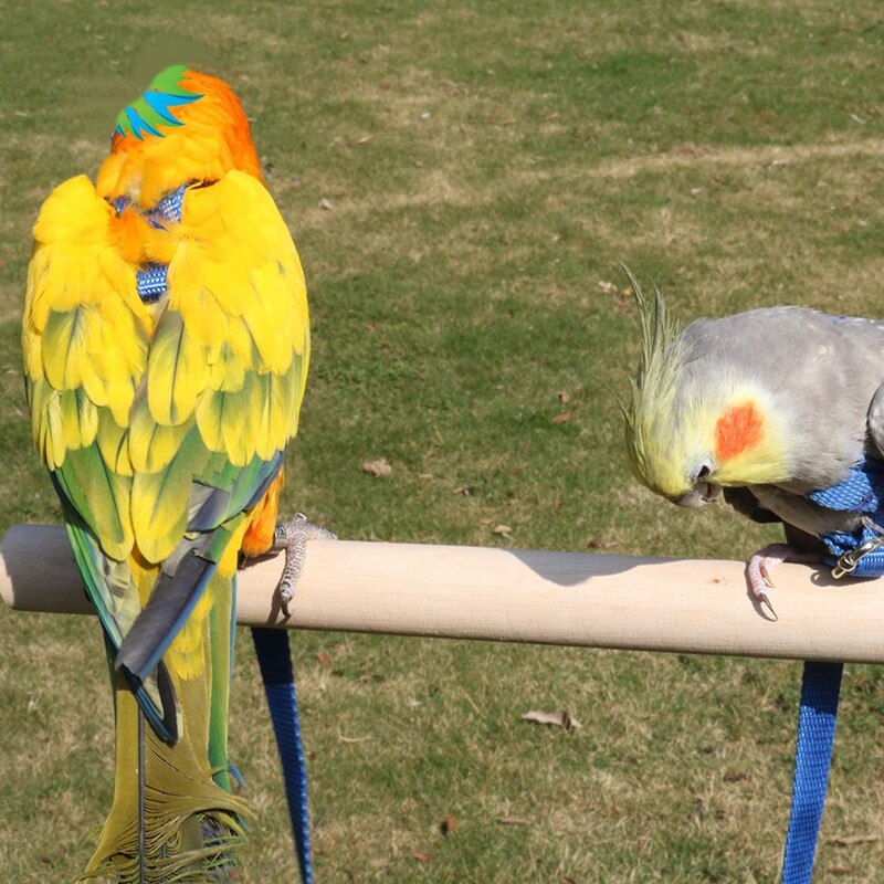 Parrot Bird Leash Training Lead Rope Adjustable Ha... – Vicedeal