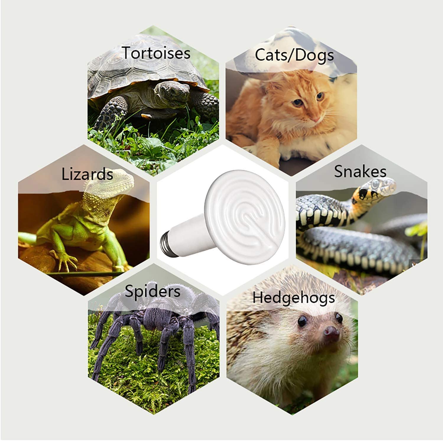 BENE Reptile Infrared Ceramic Heater,heating Emitt... – Grandado