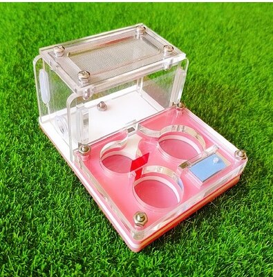 Mini Ant Nest for Miniature Ants Farm Acrylic Ant ... – Grandado