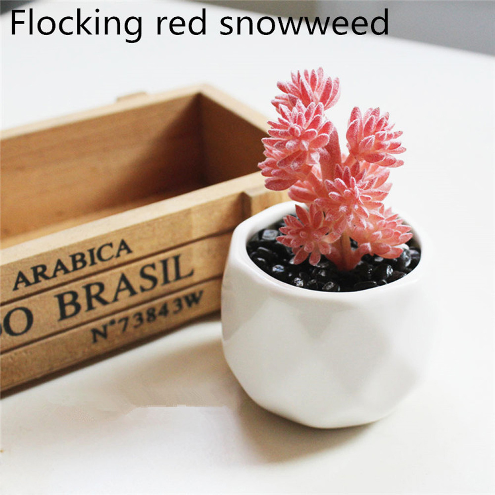 1 Pcs Mini Artificial Succulent Plants For Home De... – Vicedeal