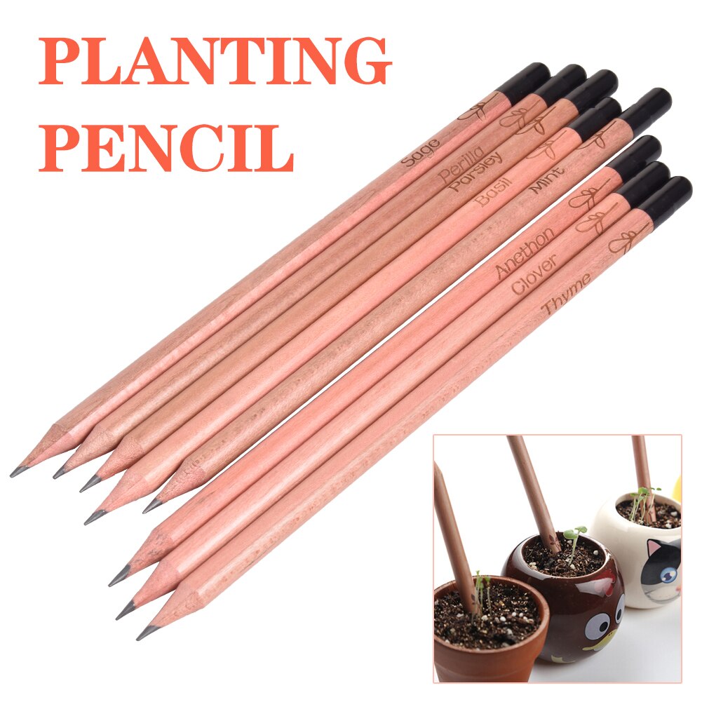 8PCS Idea Germination Pencil Set To Grow Pencil Mi... – Grandado