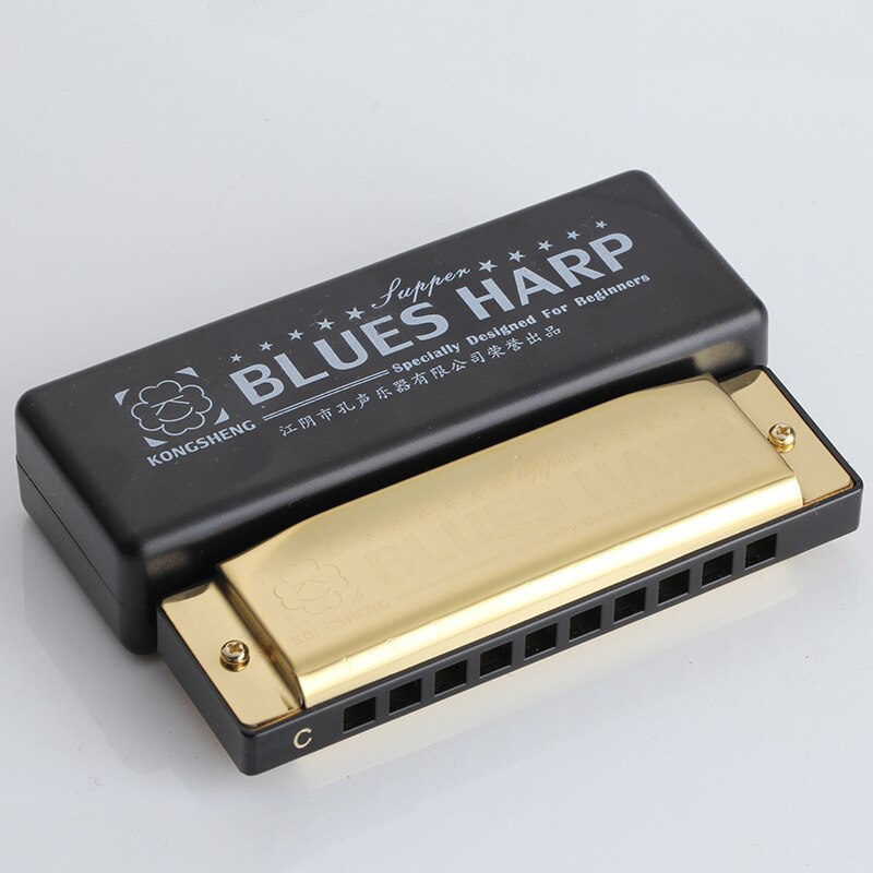 10 Holes Harmonica Diatonic Blues Harp Woodwind Mu... – Vicedeal