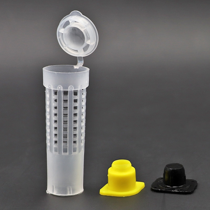 1 Set Bee Tools Cages King Queen Rearing Cupkit Sy... – Vicedeal