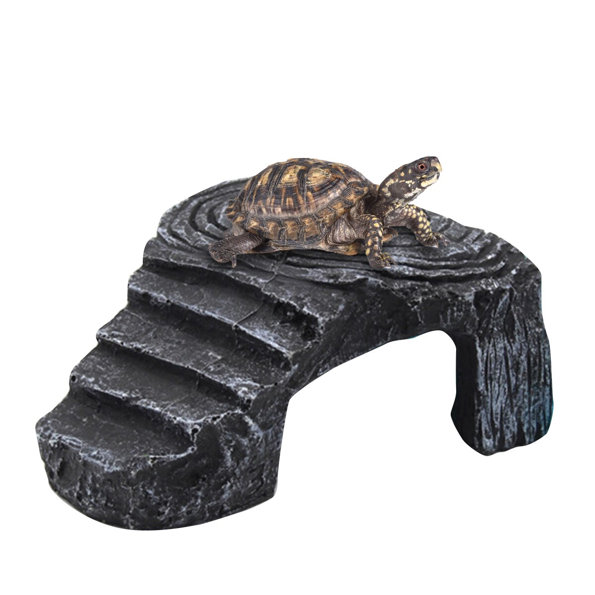 Reptile Tortoise Basking Platform Hiding Cave Fish... – Vicedeal