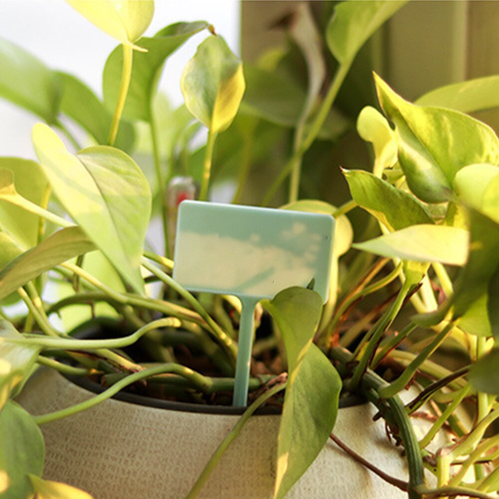 Potted Tag DIY Herb Sign Waterproof Reusable Plast... – Grandado