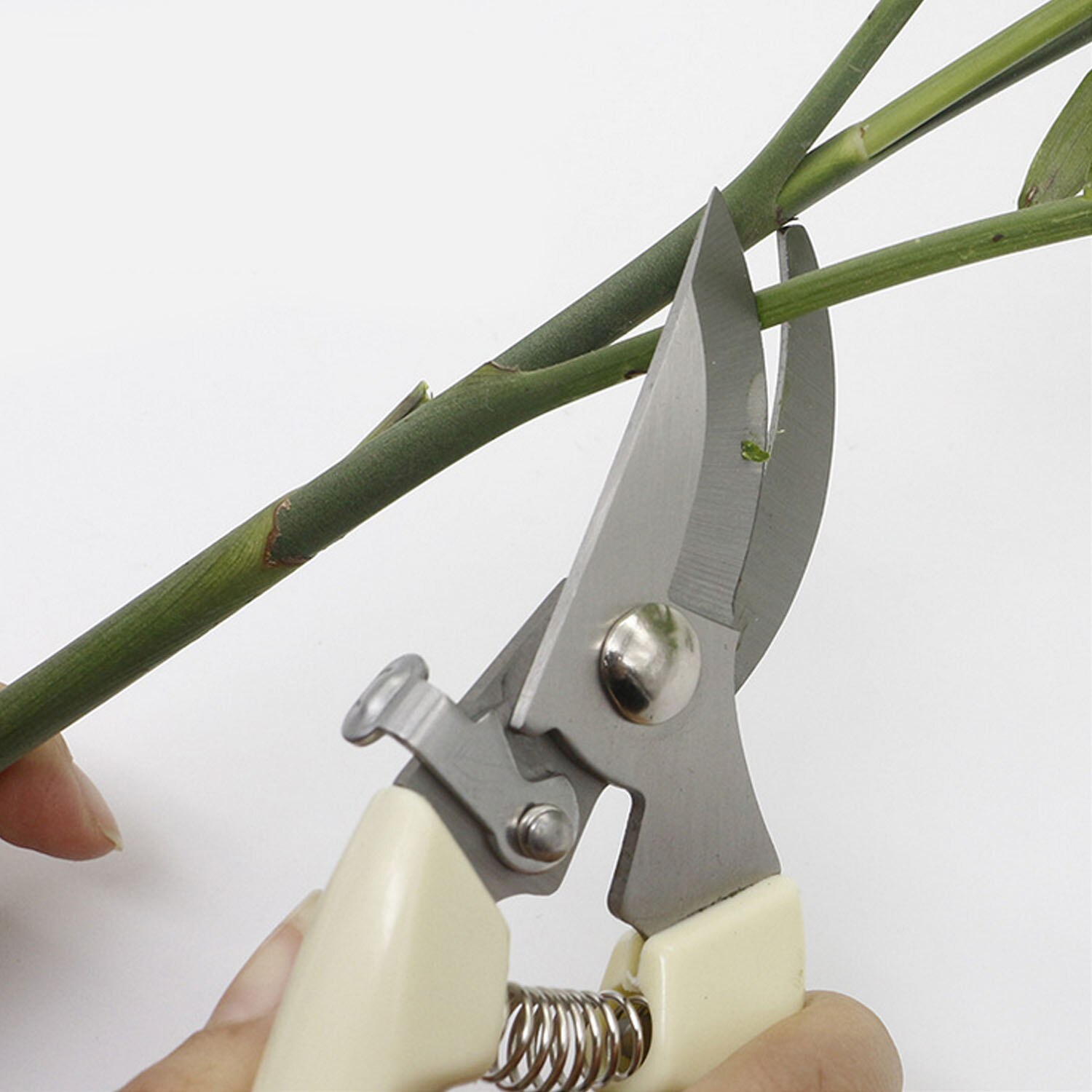 Behogar Stainless Steel Garden Trimming Scissors P... – Grandado