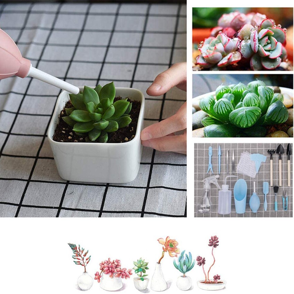 7/12pcs Garden Planter Kit Succulent Planting DIY ... – Grandado