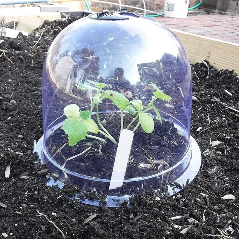 4PCS Reusable Garden Plant Cloche Plastic e Protec... – Grandado