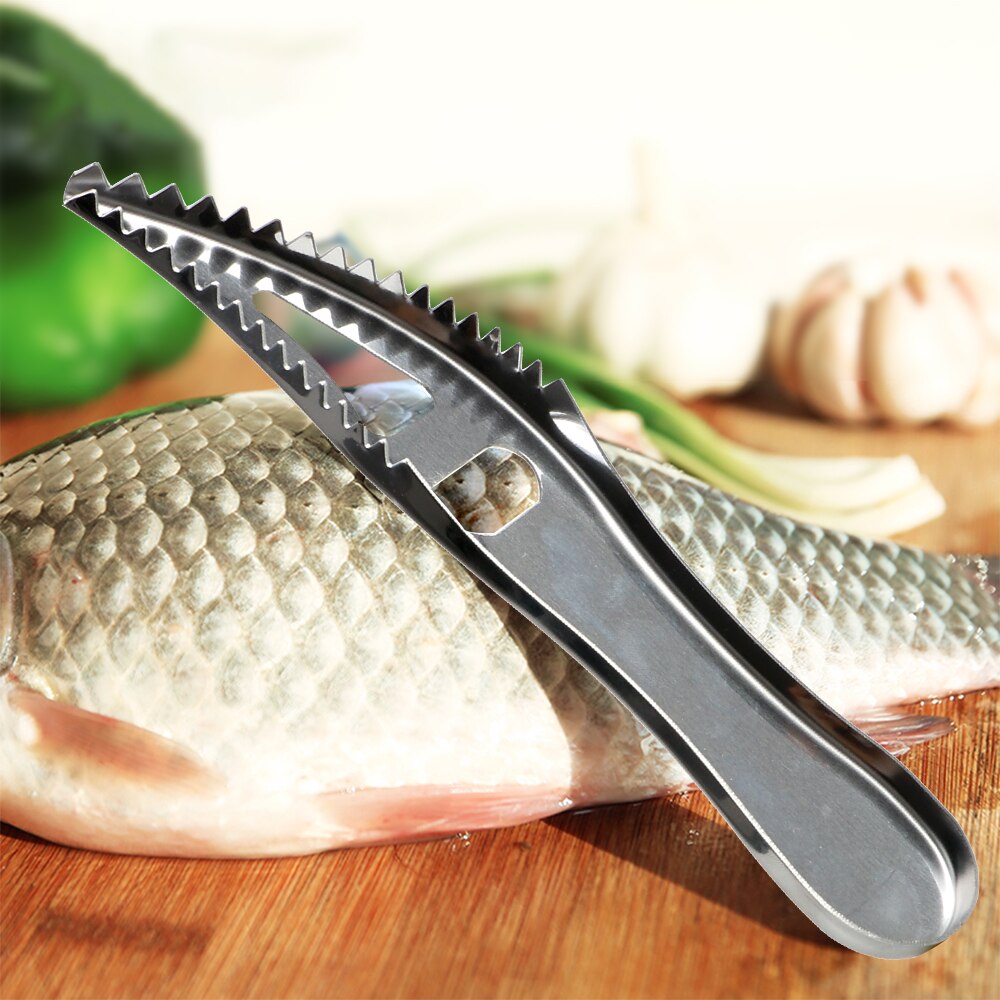 Stainless Steel Seafood Tools Cooking Tools Fish S... – Grandado
