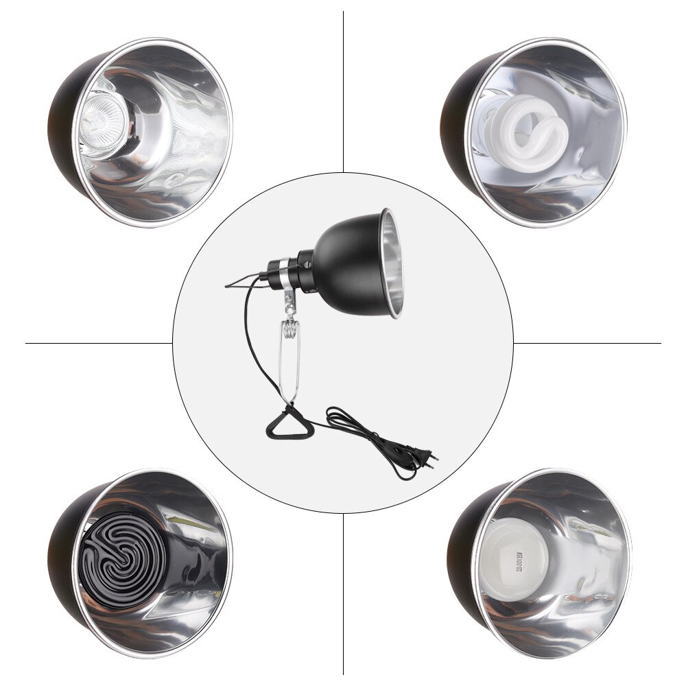 25/50/75W Reptile Lamp Pet Heat Lamp Bulb Turtle B... – Vicedeal