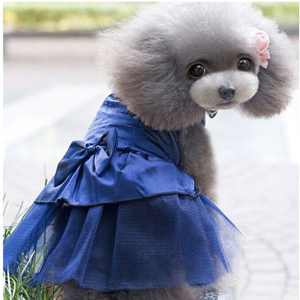 Pet Clothes Crystal Bowknot Dog Dress For Dogs Ski... – Grandado