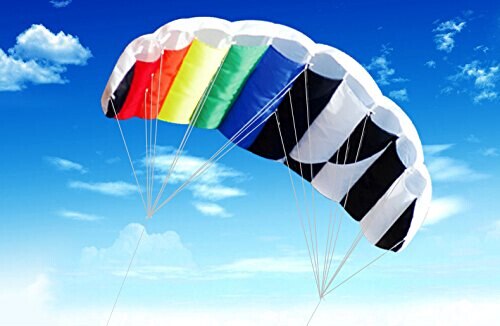 1.4 m Dual Line Parafoil Kite With Control Bar Lin... – Grandado