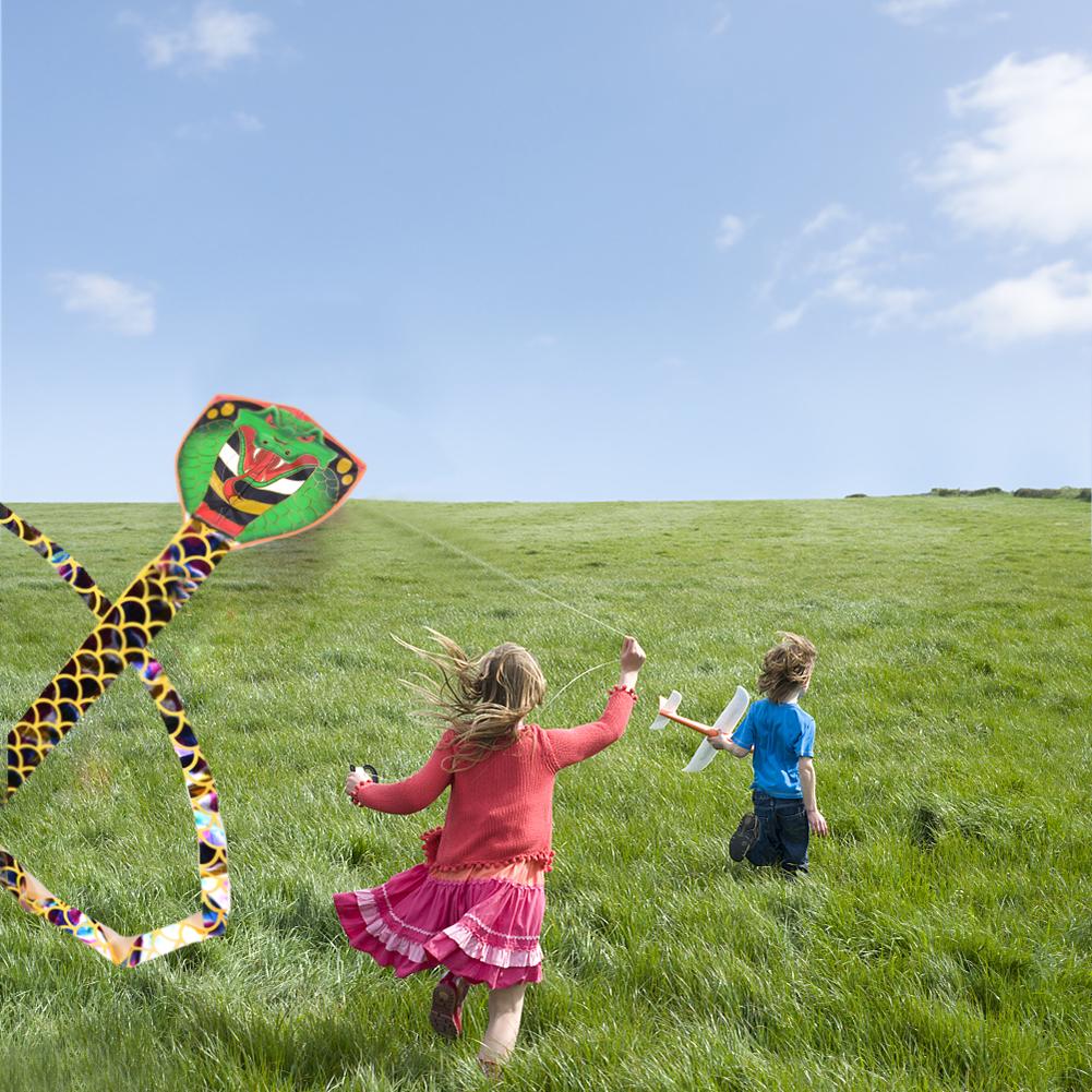 7m Snake Shape Kite Outdoor Funny Flying Toys Gard... – Grandado