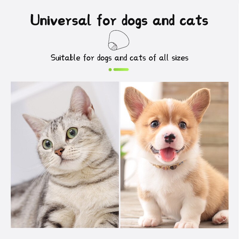 Elizabeth Anti-bite Pet Dog Collar Cat Dog Puppy N... – Grandado